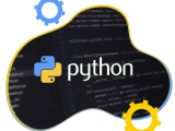 Top Python Development Company Python Development Service Omnist