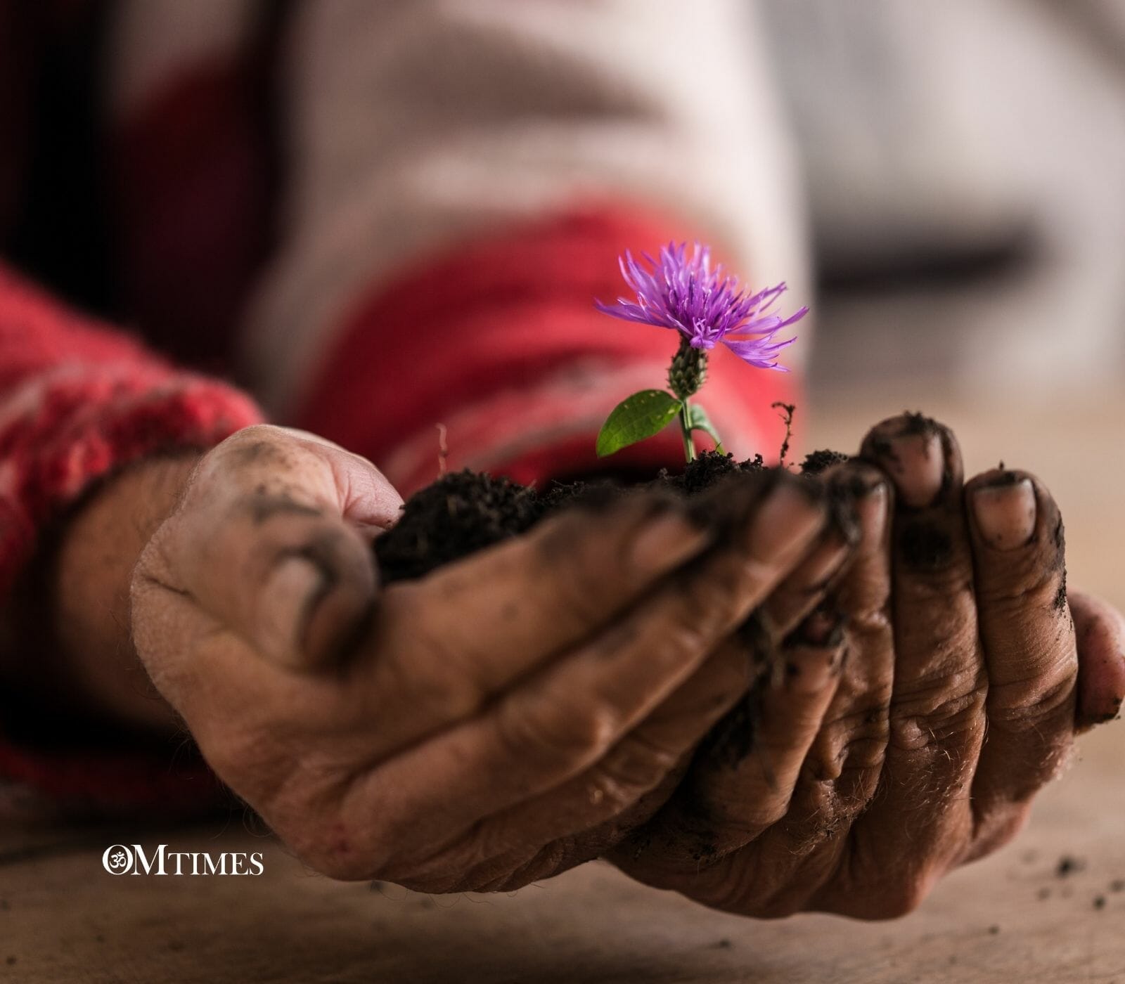 Meet Every Moment Awake to a Limitless Life — OMTimes Magazine – Higher ...