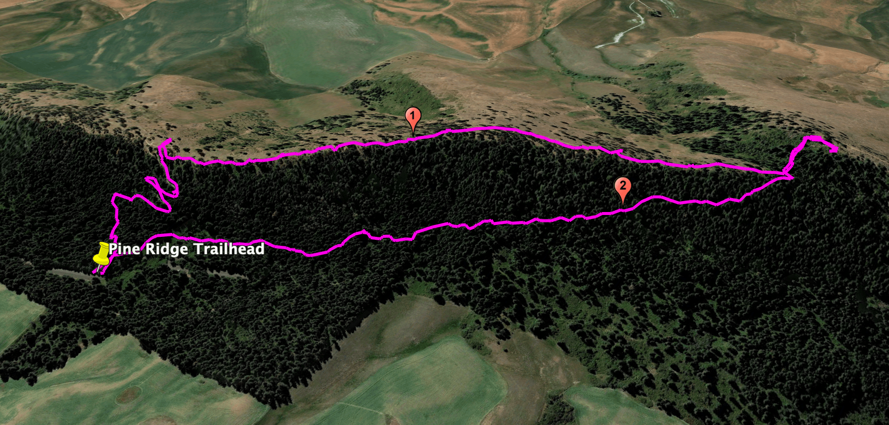 Hikes in Washington: Pine Ridge Trail (Kamiak Butte) – On Walkabout