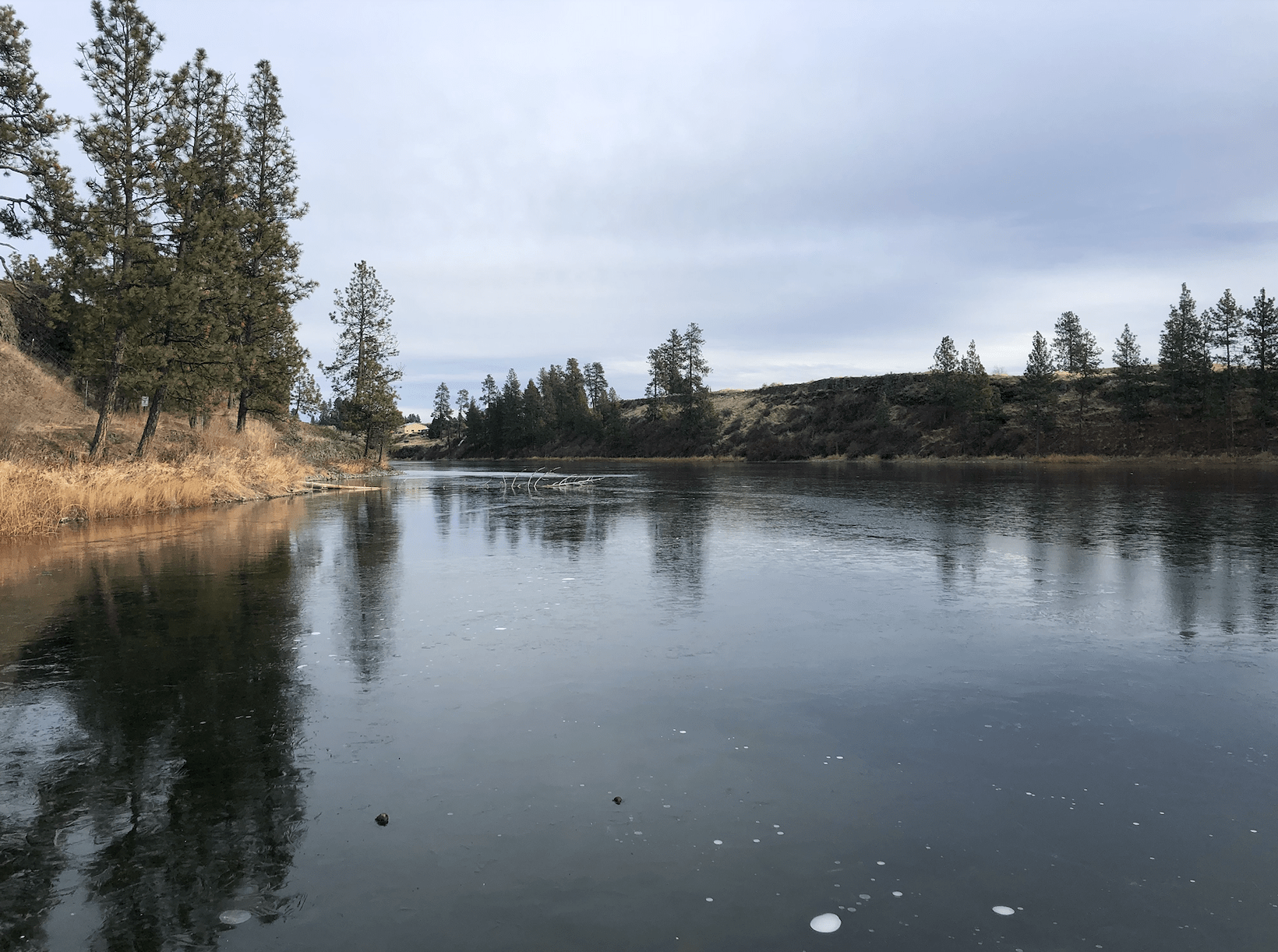 Hikes in Washington: The Amber Lake Trail – On Walkabout