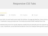 10 Best Html Css Tabs Menu Collection Onaircode