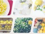 25 Image Overlay Css Hover Effects Onaircode