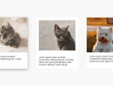 14 Css Card Hover Effects Examples Onaircode