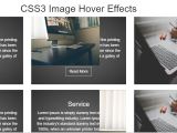 17 Bootstrap Image Hover Effect Examples Onaircode