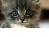 20 Bootstrap Slideshow Examples Code Snippet Onaircode