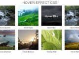 17 Bootstrap Image Hover Effect Examples Onaircode