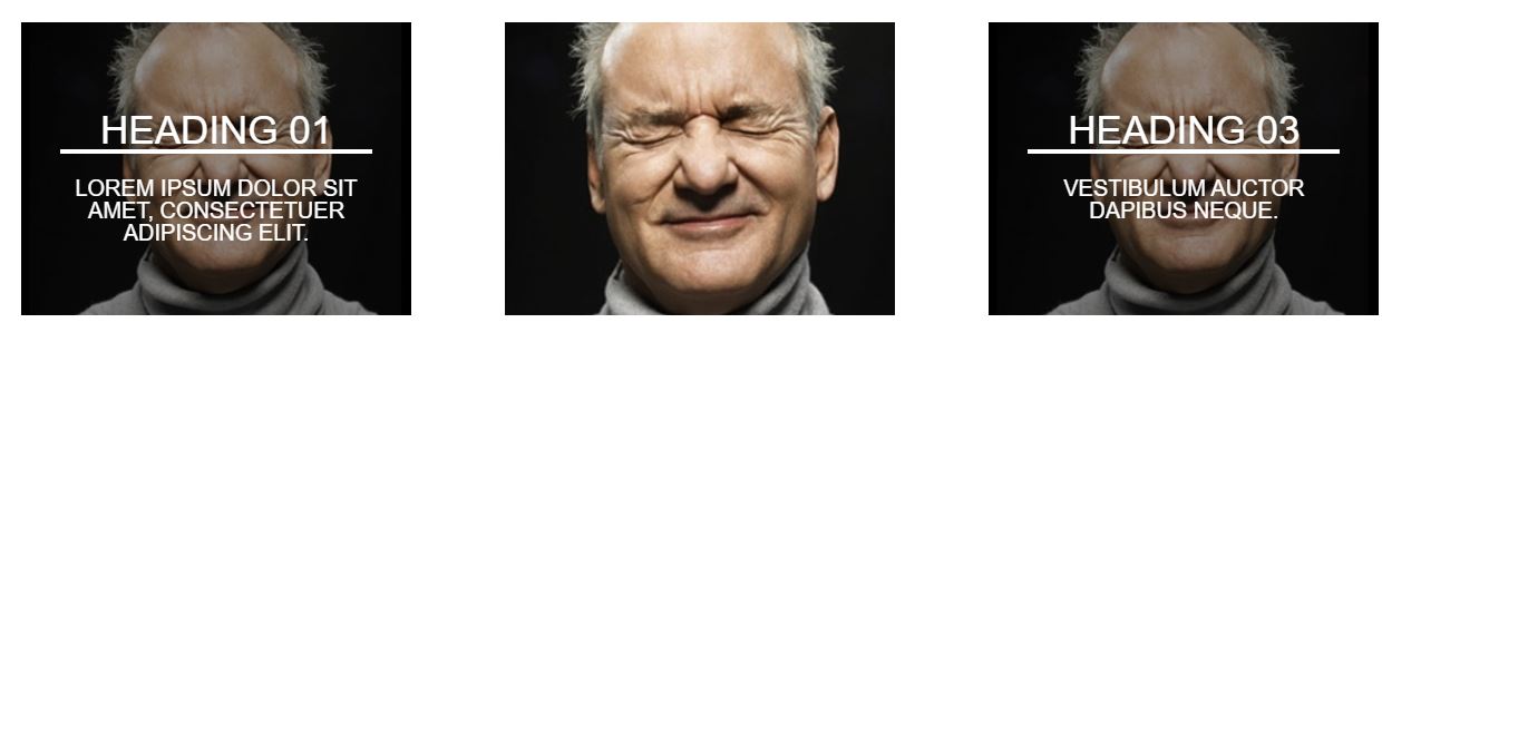 15+ Bootstrap Image Zoom Effect Examples - OnAirCode