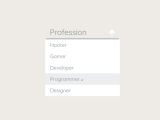 20 Javascript Dropdown Select Box Examples Onaircode