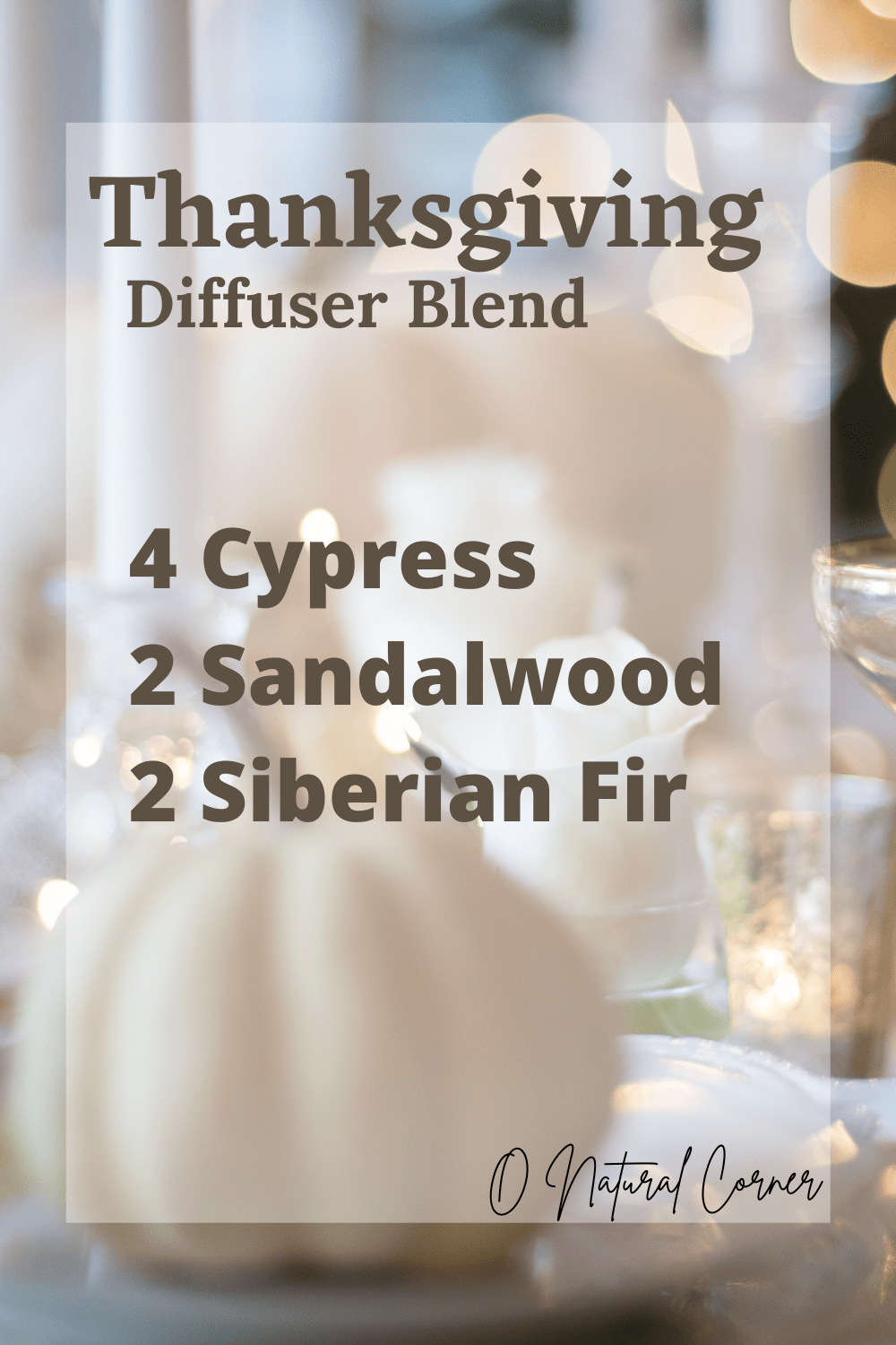 Thanksgiving Diffuser Blends - O Natural Corner