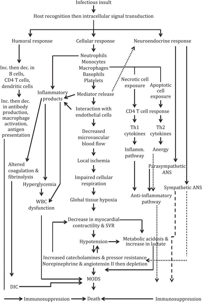 Sepsis, severe sepsis, and septic shock | Oncohema Key