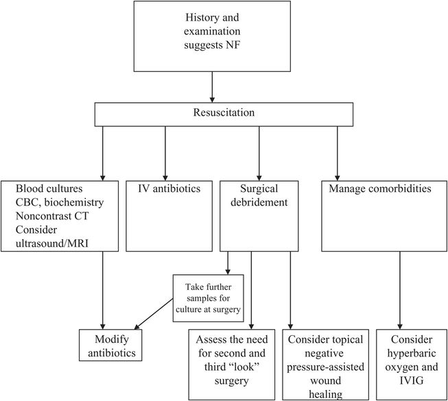 Deep soft-tissue infections: necrotizing fasciitis and gas gangrene ...