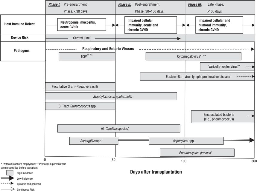 Infections in transplant recipients | Oncohema Key