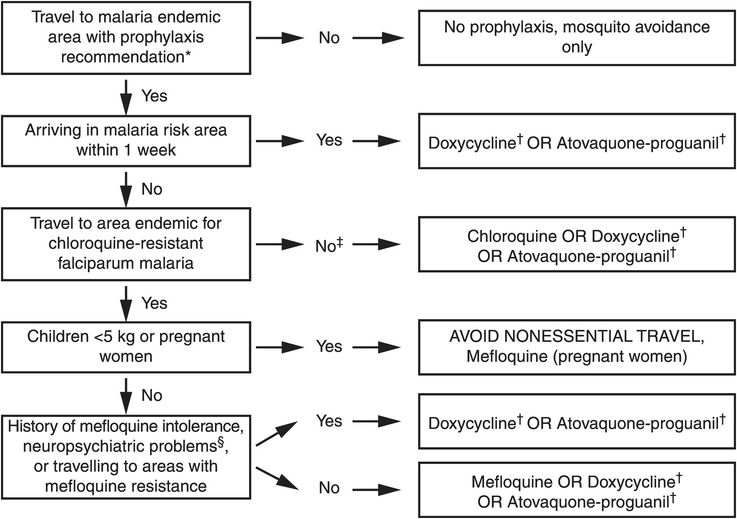 Malaria | Oncohema Key