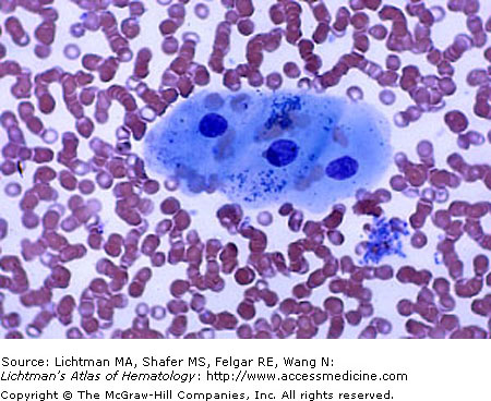 Other Non-Hematopoietic Cells in Blood (new section) | Oncohema Key