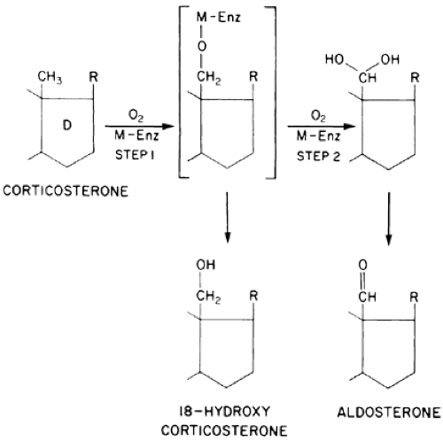 PHYSIOLOGY OF ALDOSTERONE | Oncohema Key