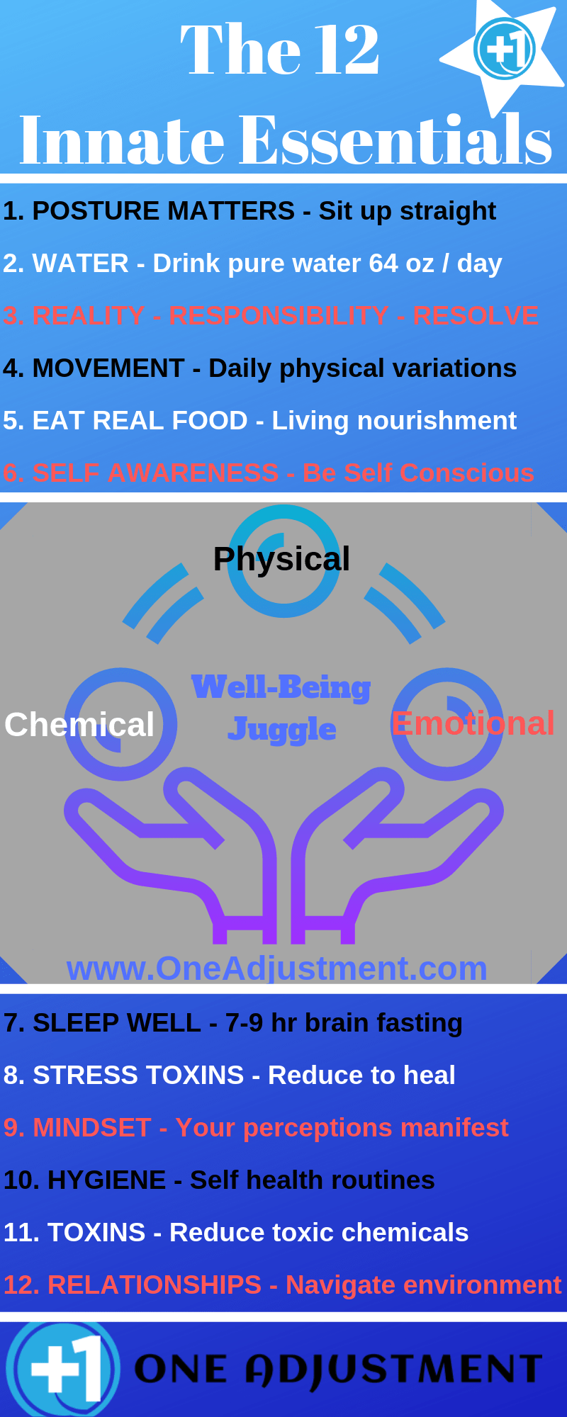 The 12 Innate Essentials for your Well-Being - One Adjustment
