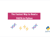 The Fastest Way To Read A Fasta In Python Step By Step