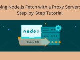Node Js Fetch With Proxy Server Step By Step Tutorial