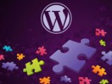 Custom Functionality Plugin For Wordpress Pros And Cons