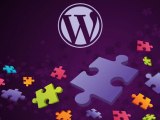 Custom Functionality Plugin For Wordpress Pros And Cons