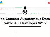 How To Connect With In Built Sql Developer Web In Adb