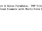 React Axios Formdata Php File Upload Example With Multi Form Data