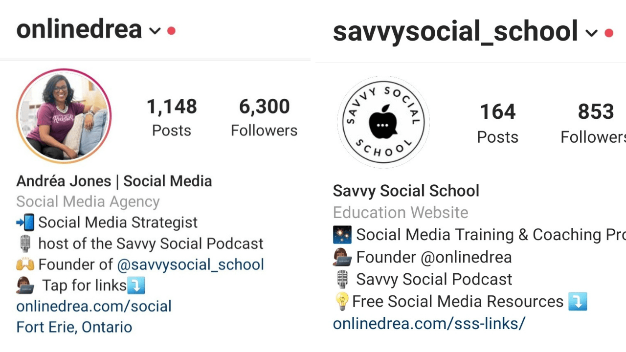 6 Things to Know Before Creating a Second Instagram - OnlineDrea