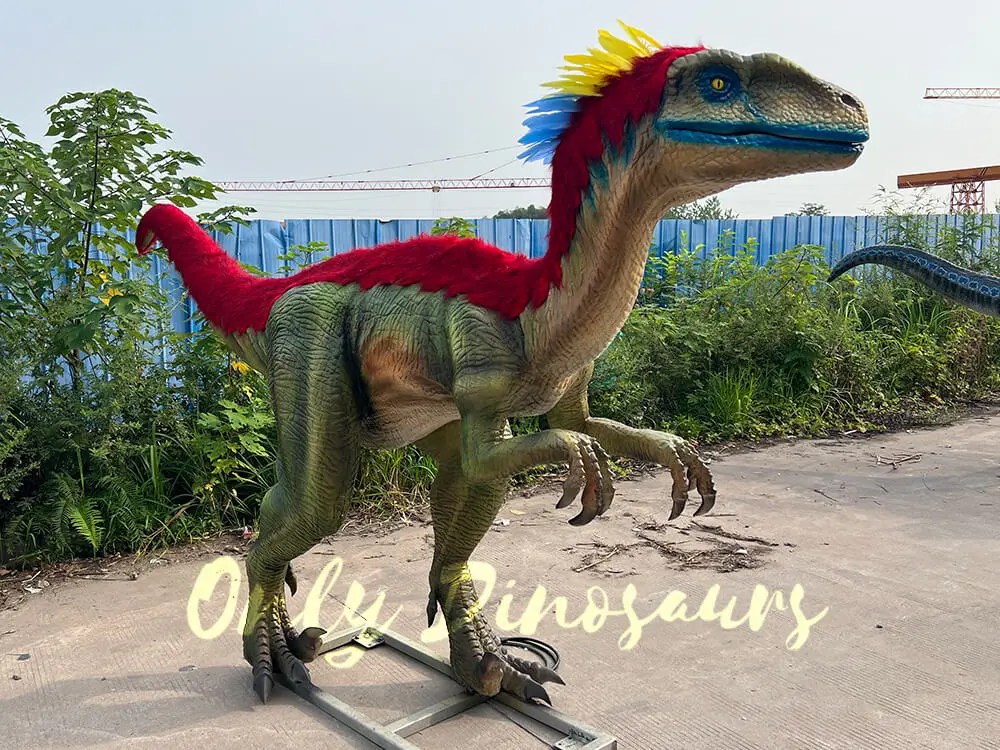 Colorful Feathered Animatronic Raptor | Only Dinosaurs