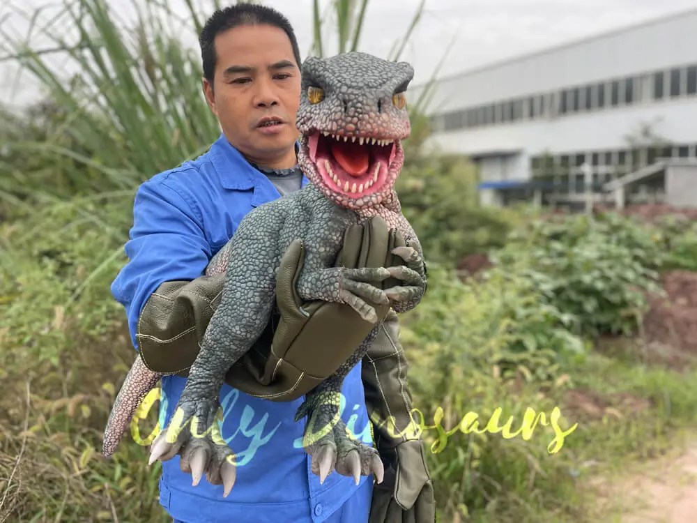 Baby Raptor Realistic Puppet For Sale | Only Dinosaurs