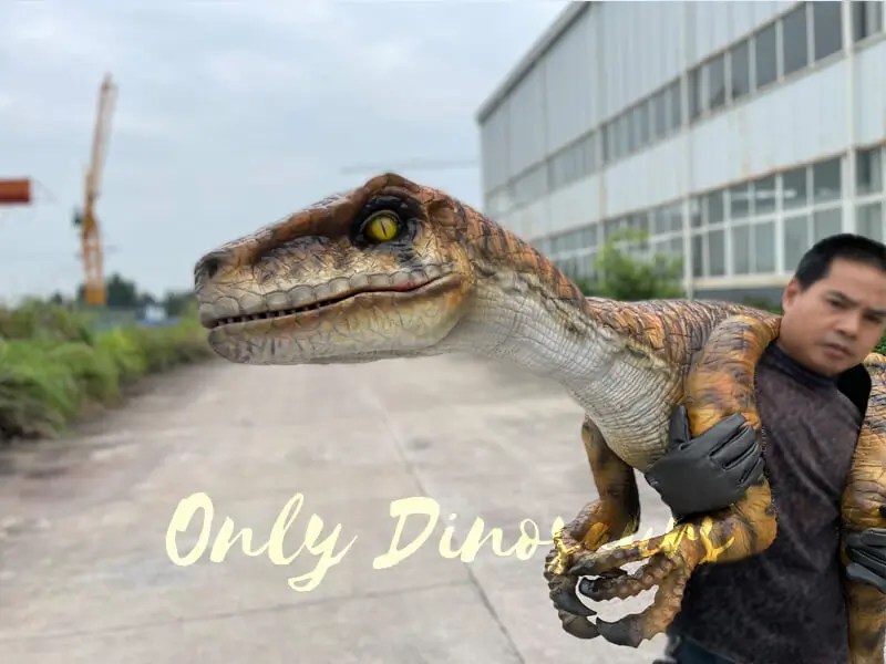 Realistic False Arm Raptor Shoulder Puppet | Only Dinosaurs