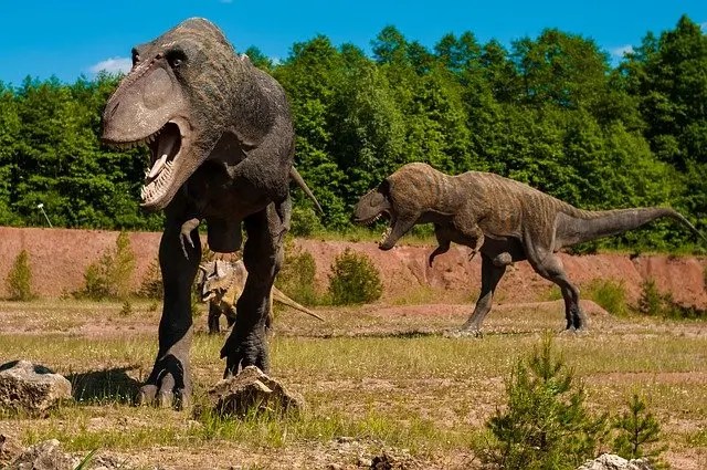 11 Most Interesting T. Rex Facts For Kids