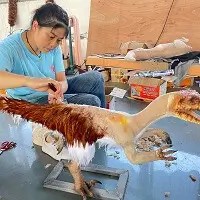 Animatronic Dinosaur Manufacturer Expert | Only Dinosaurs