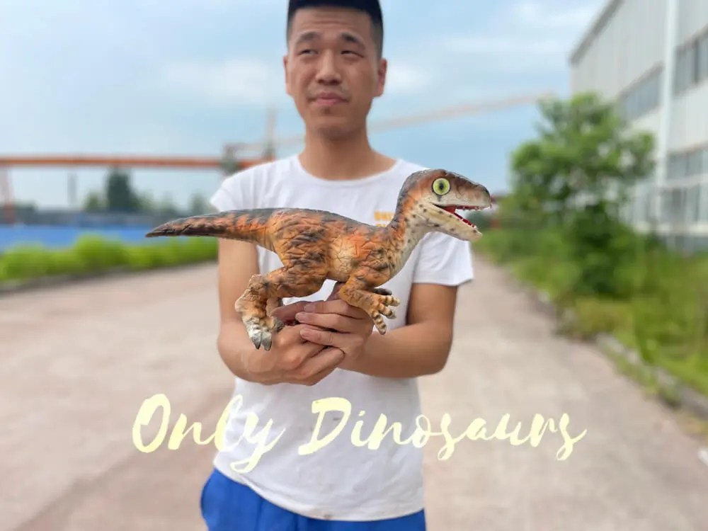 Mini Dinosaur Puppet For Sale | Only Dinosaurs