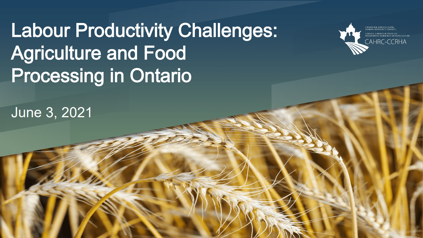 labour-productivity-challenges – ON Regional Economic Development