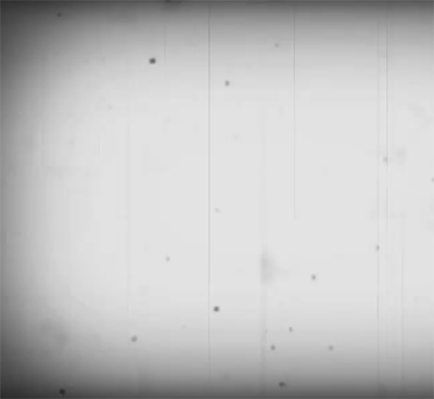 grainoverlay.gif | On Wings of Gold | We Keep Your Ride Looking And ...