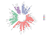 Circular Barplot A Biomedical Visualization Atlas