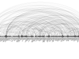Arc Diagram A Biomedical Visualization Atlas