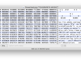 Hex Editor