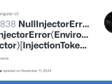 Nullinjectorerror R3injectorerror Environment Injector Injectiontoken