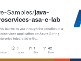 Issues Azure Samples Java Microservices Asa E Lab Github