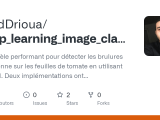 Github Imeddrioua Deep Learning Image Classification Un Modèle