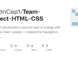 Github Martincep1 Team Project Html Css A Project Developed In
