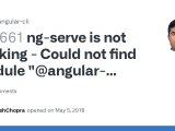 Ng Serve Is Not Working Could Not Find Module Angular Devkit Build