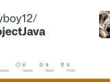 Github Rayboy12 Projectjava