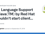 Language Support For Java Tm By Red Hat Couldn T Start Client