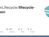 Github Teamlifecycle Lifecycle Python