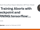 Training Aborts With 1 Checkpoint And Warning Tensorflow Gradients Do