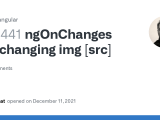 Ngonchanges Not Changing Img Src Issue 44441 Angular Angular