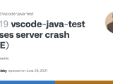 Vscode Java Test Causes Server Crash Npe Issue 1219 Microsoft