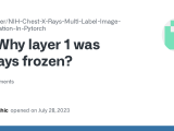 Why Layer 1 Was Always Frozen Issue 5 N0obcoder Nih Chest X Rays